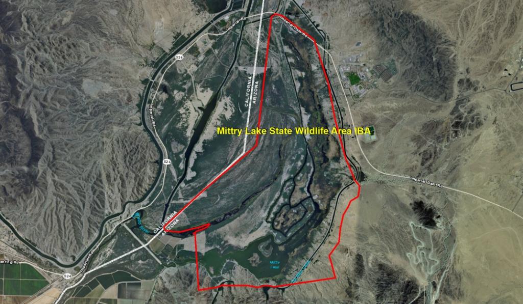 Mittry Lake State Wildlife Area IBA ☼ - Arizona Important Bird Areas ...