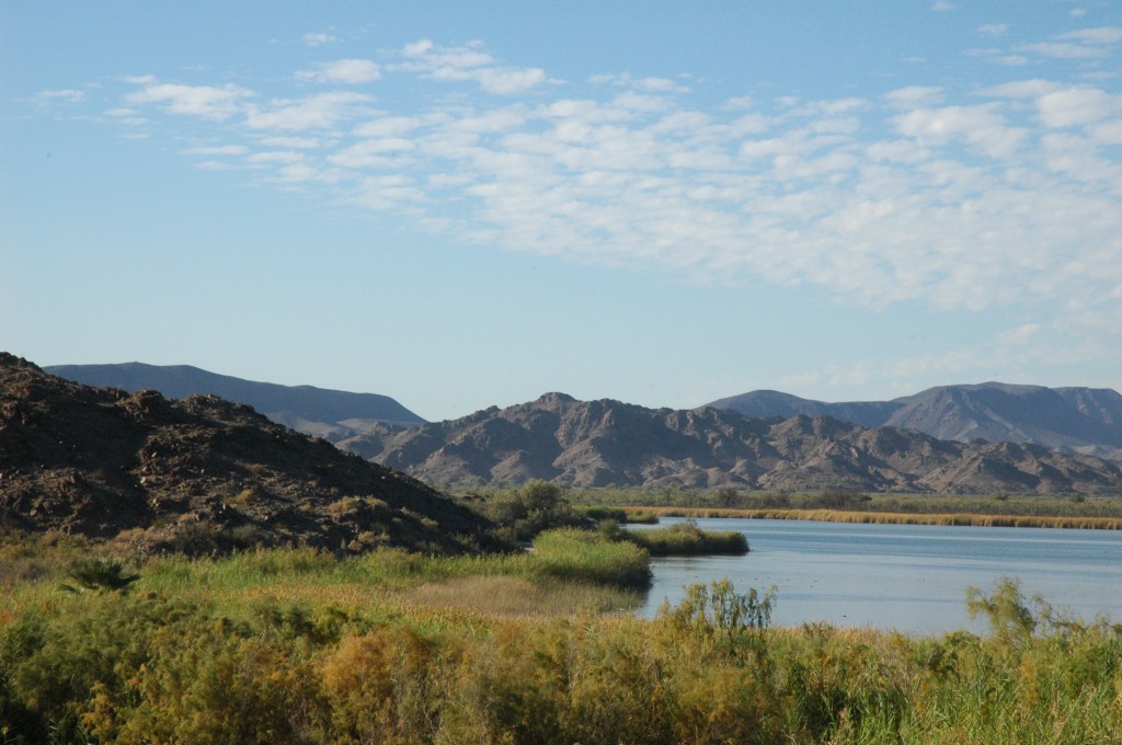 Mittry Lake State Wildlife Area IBA ☼ - Arizona Important Bird Areas ...