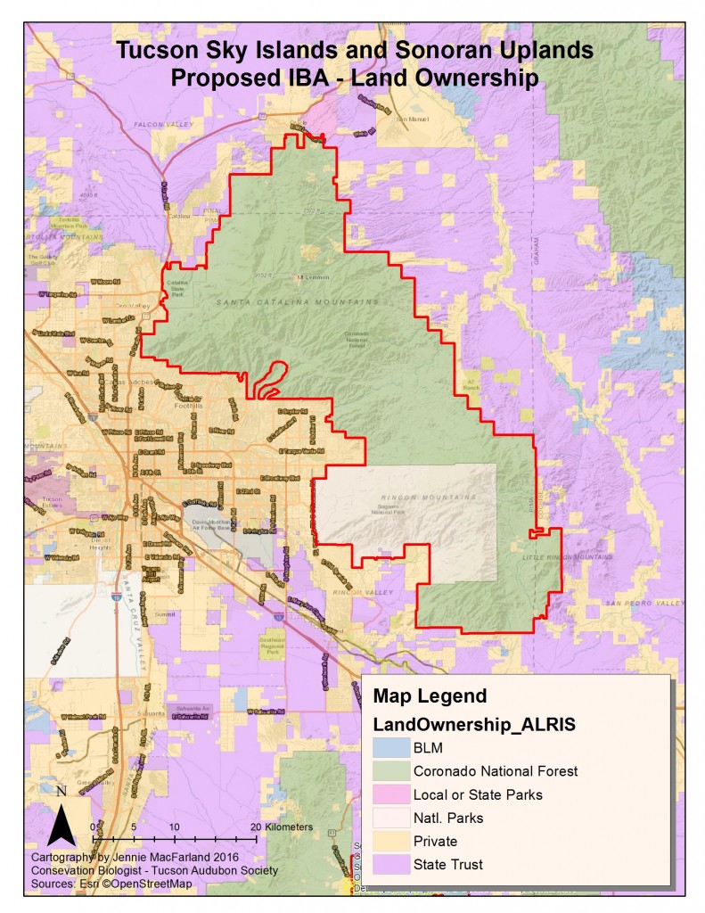 Tucson Sky Islands IBA - Arizona Important Bird Areas Program