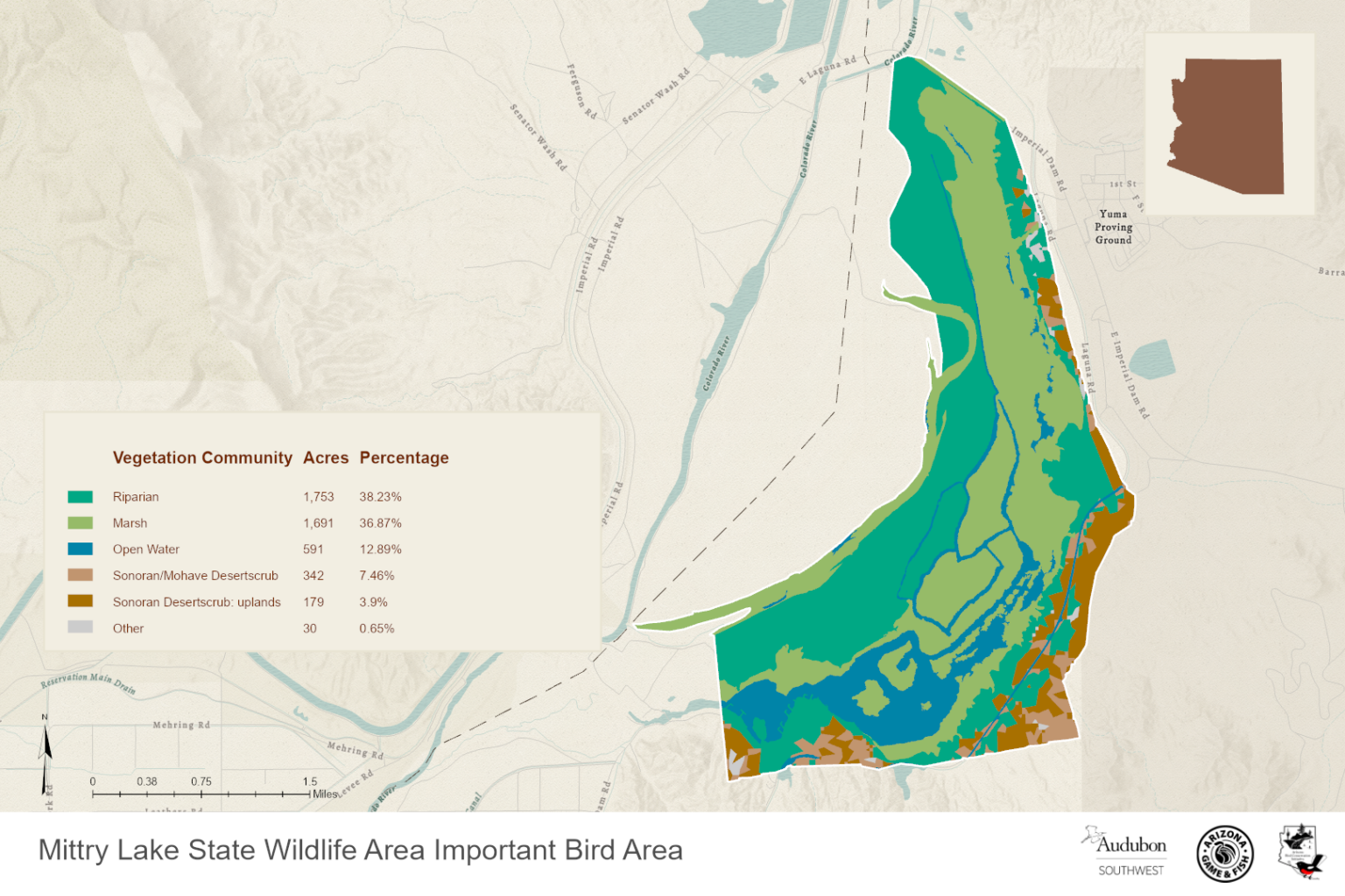 Mittry Lake State Wildlife Area IBA ☼ - Arizona Important Bird Areas ...